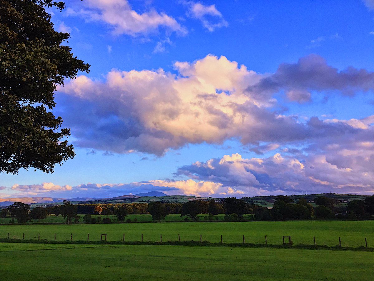 Brayton Park | Visit Our Website | Website Disclaimer